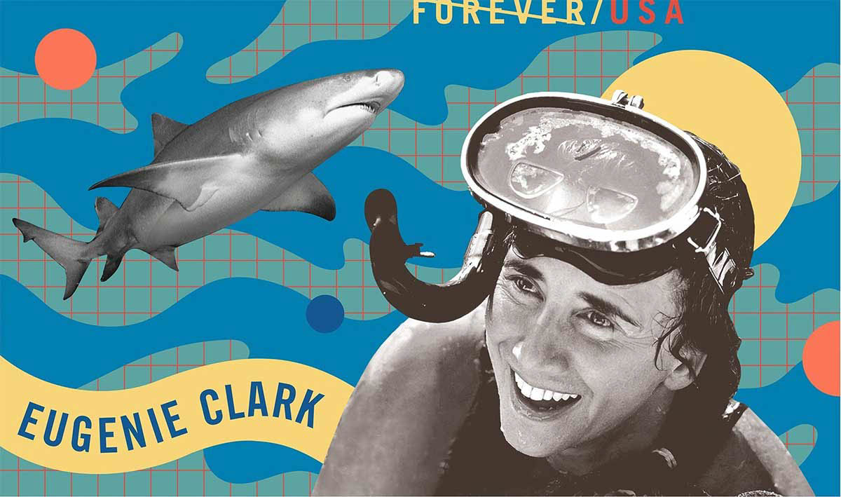 Marine Biologist With Shark