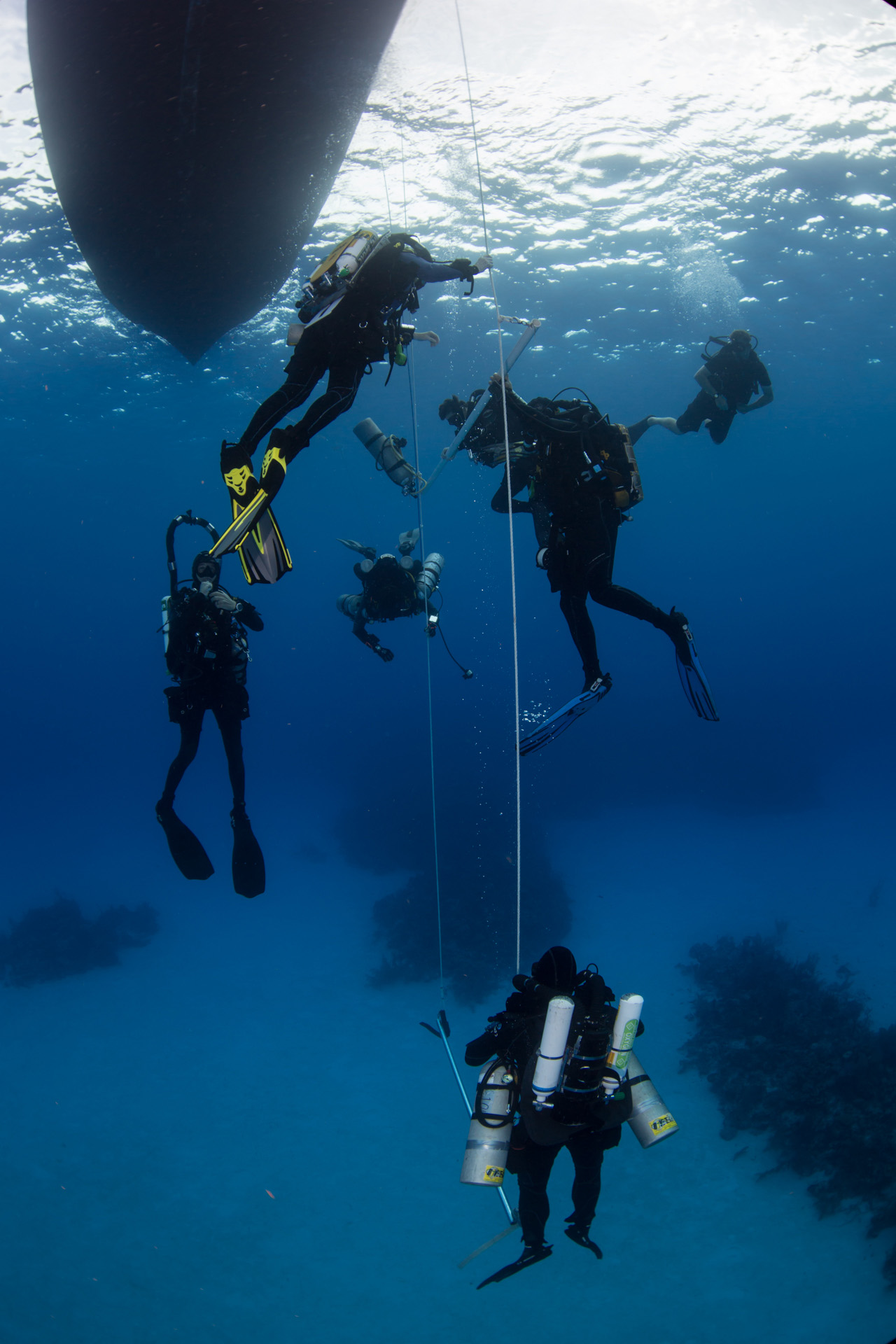 Inner Space: Divetech in Grand Cayman Celebrates the World of ...