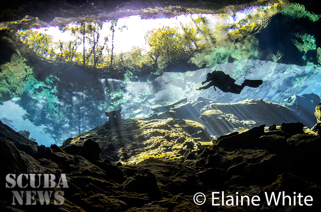 Northern Underwater Photography Group Splash In Photo Competition ...