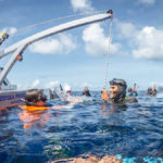 Carlos Coste Set Two Records During Bonaire Deepsea Challenge - The ...