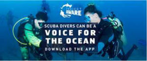 Project AWARE® Welcomes New Associate Director Policy and Campaigns to ...