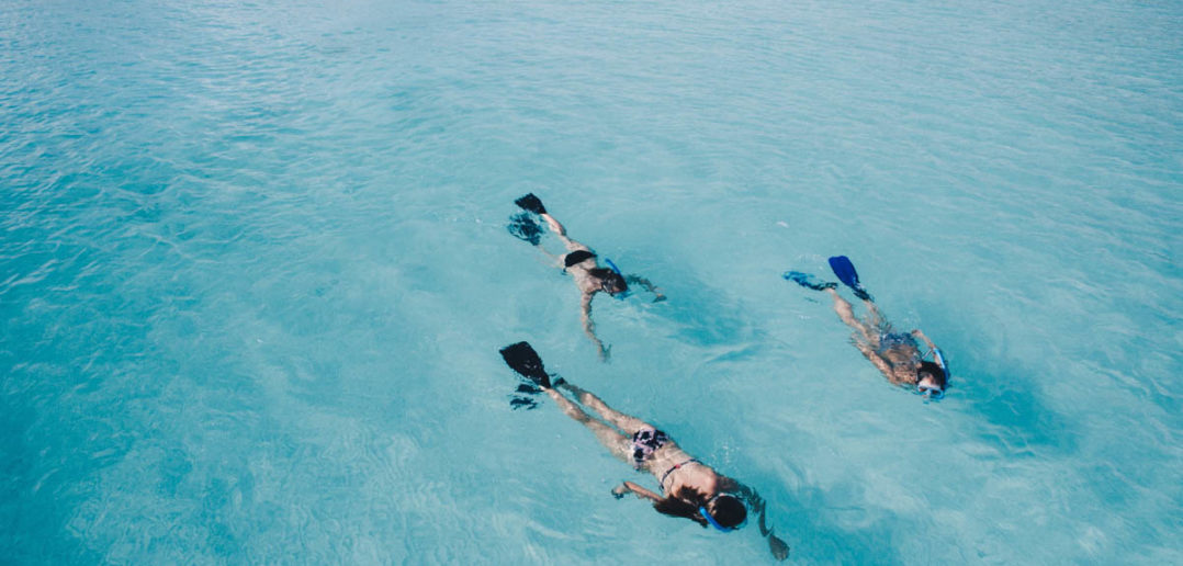 Video Tech: The Key to Modern Scuba Businesses - The Scuba News