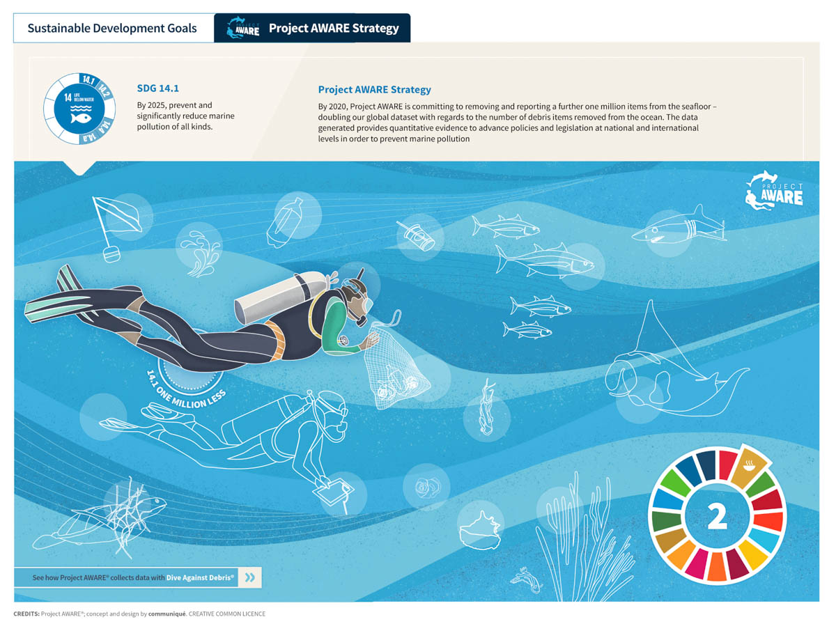 How Scuba Divers Can Act for the Sustainable Development Goals - The ...