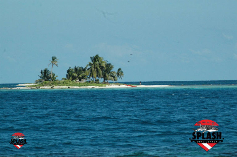 Belize Winning the Battle With Covid-19 - The Scuba News