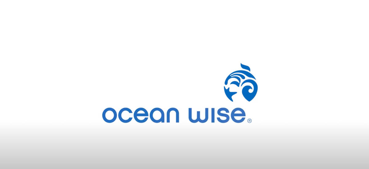 Introducing Ocean Wise - The Scuba News