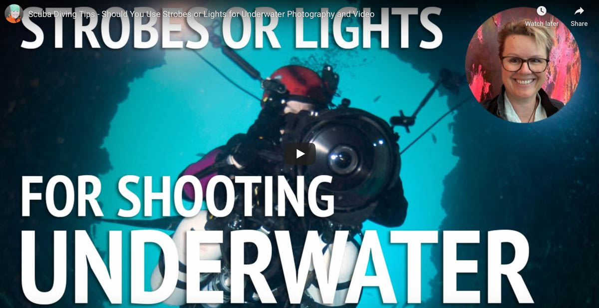 Scuba Tips: How to Focus an Underwater Camera in Dark Water - The Scuba ...