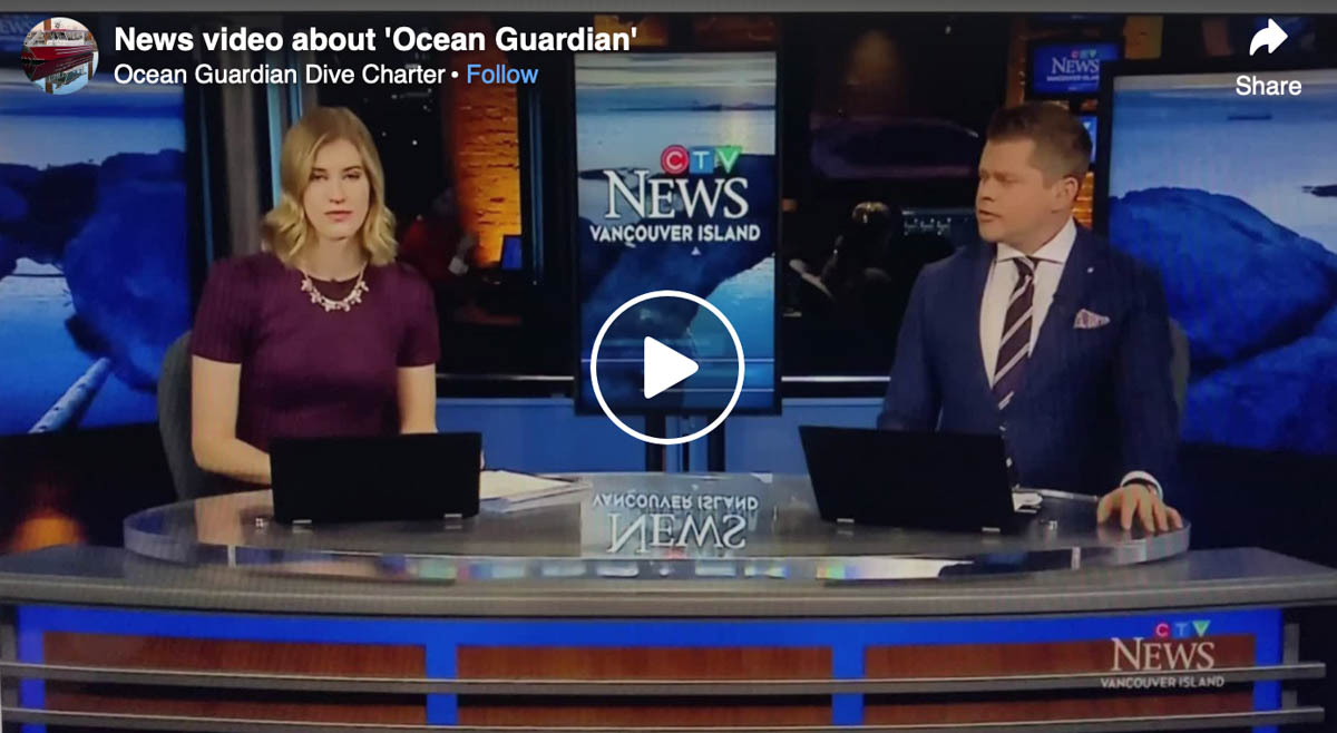 Ocean Guardian Introduces Innovative Diver Lift - The Scuba News