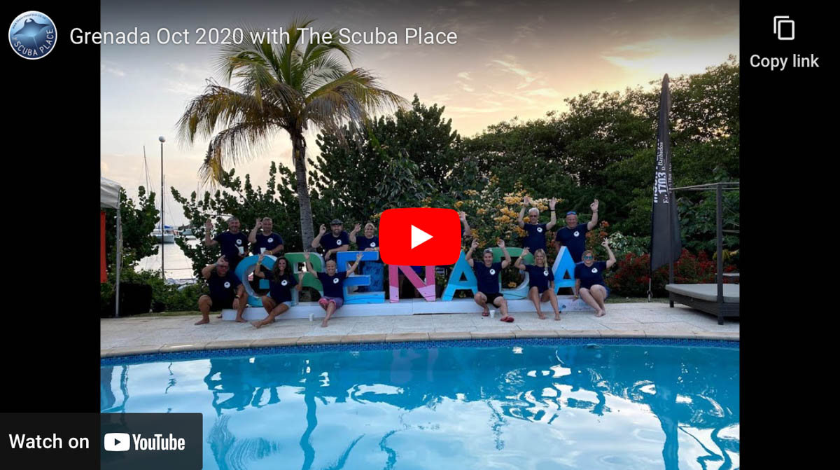VIDEO: Grenada October 2020 with The Scuba Place - The Scuba News