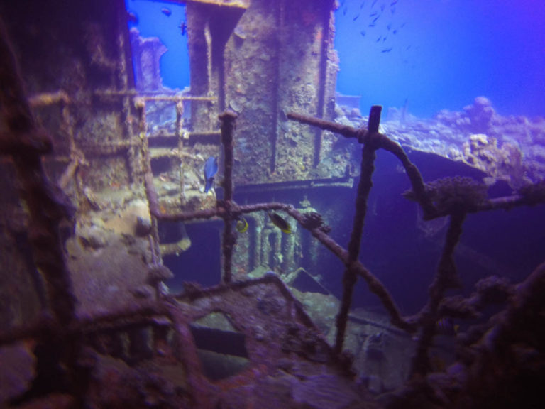 Diving The Amazing Wrecks of the Red Sea - The Scuba News