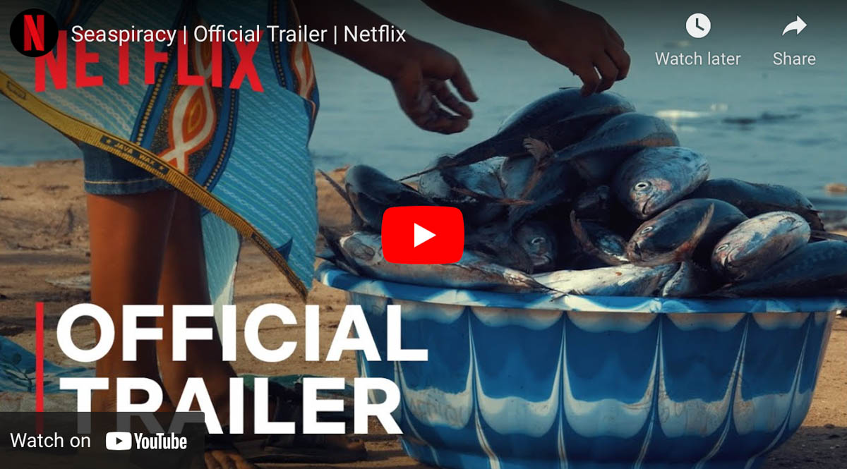 Seaspiracy, a Netflix Film About Widespread Environmental Destruction