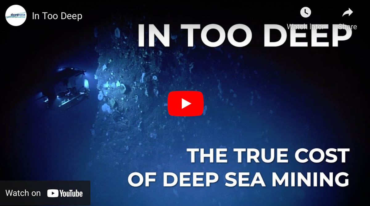In Too Deep: Blue Heart of the Planet - The Scuba News