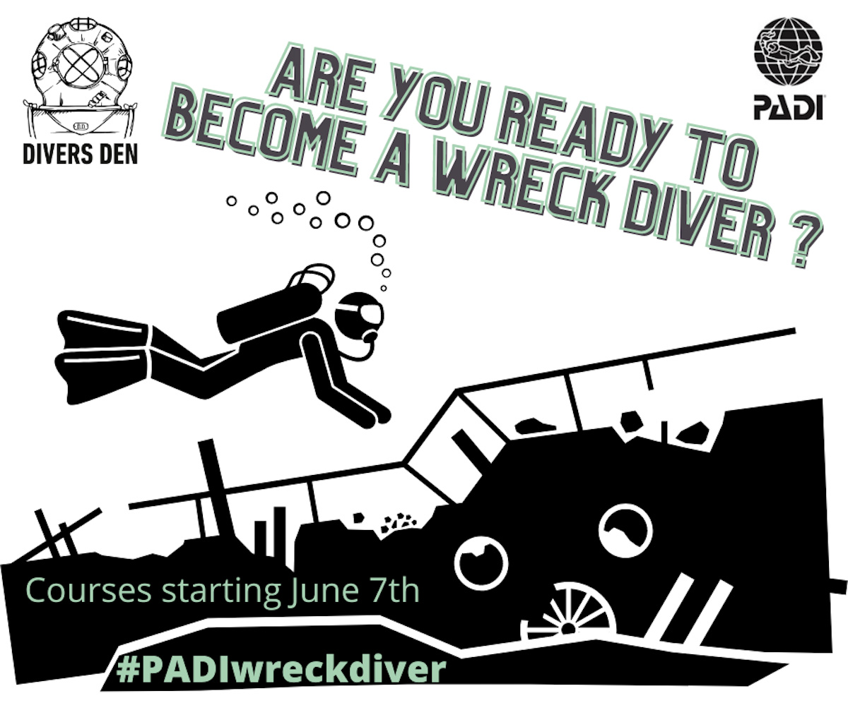 Divers Den Presents: PADI Wreck Diving Course - The Scuba News