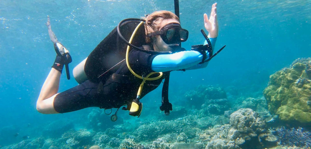 Study Reveals what Dive Tourists are Demanding from Businesses - The ...