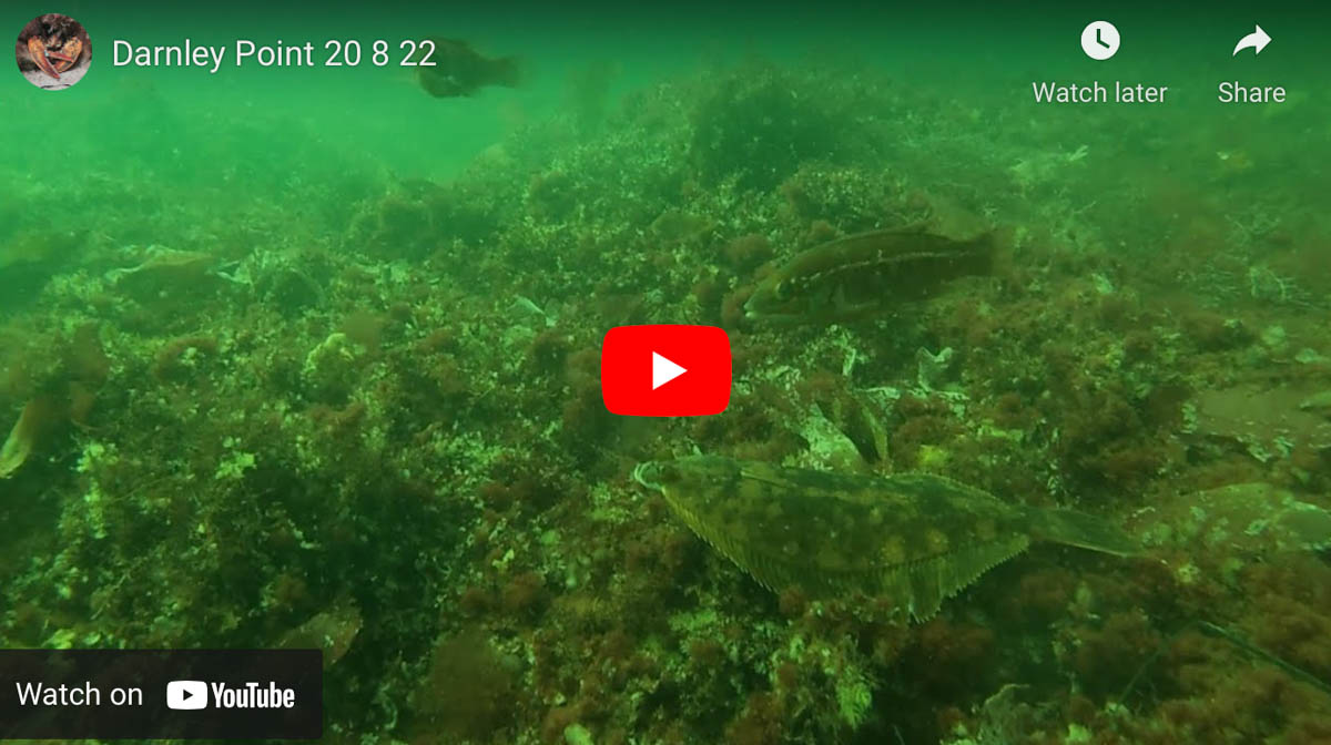 Scuba Diving Darnley Point, Prince Edward Island - The Scuba News