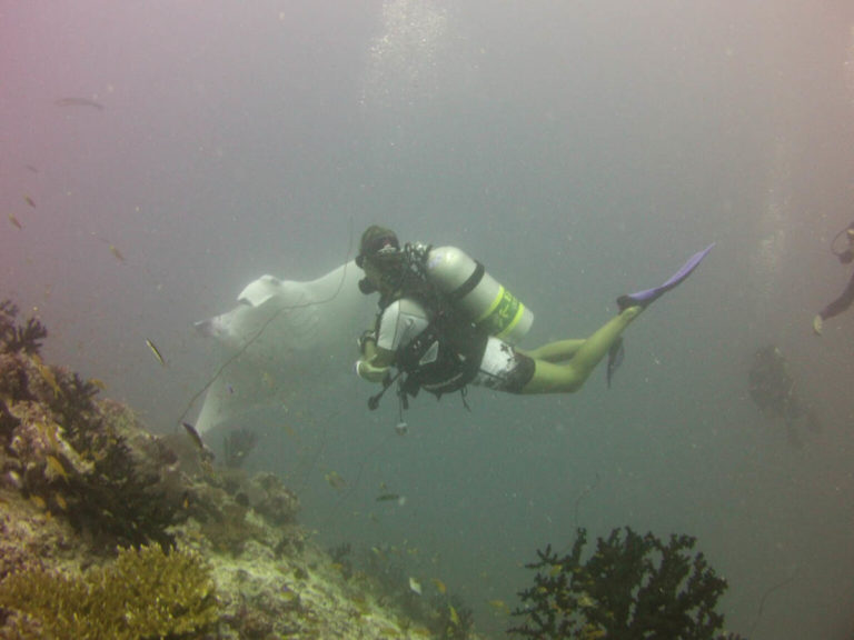 What Is A Cleaning Station? - The Scuba News