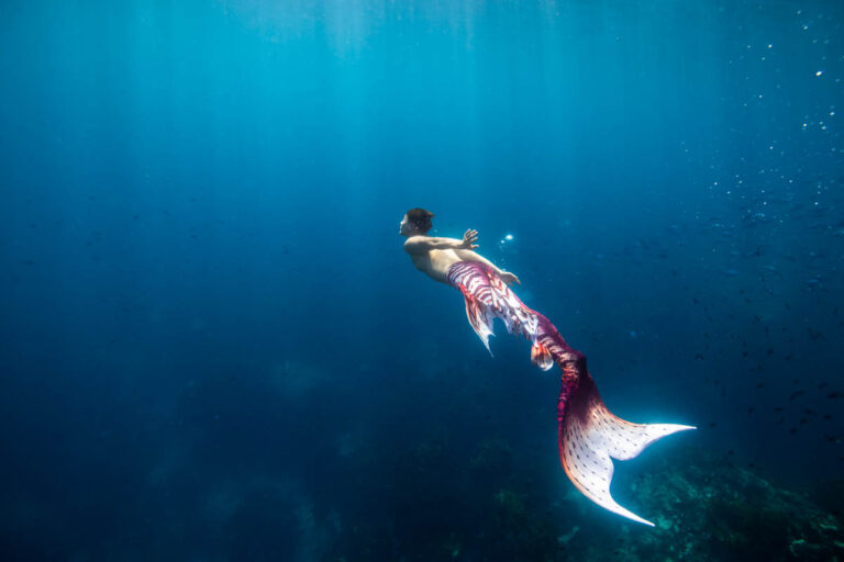 Aotearoa, New Zealand and PADI® celebrate International Mermaid Day ...