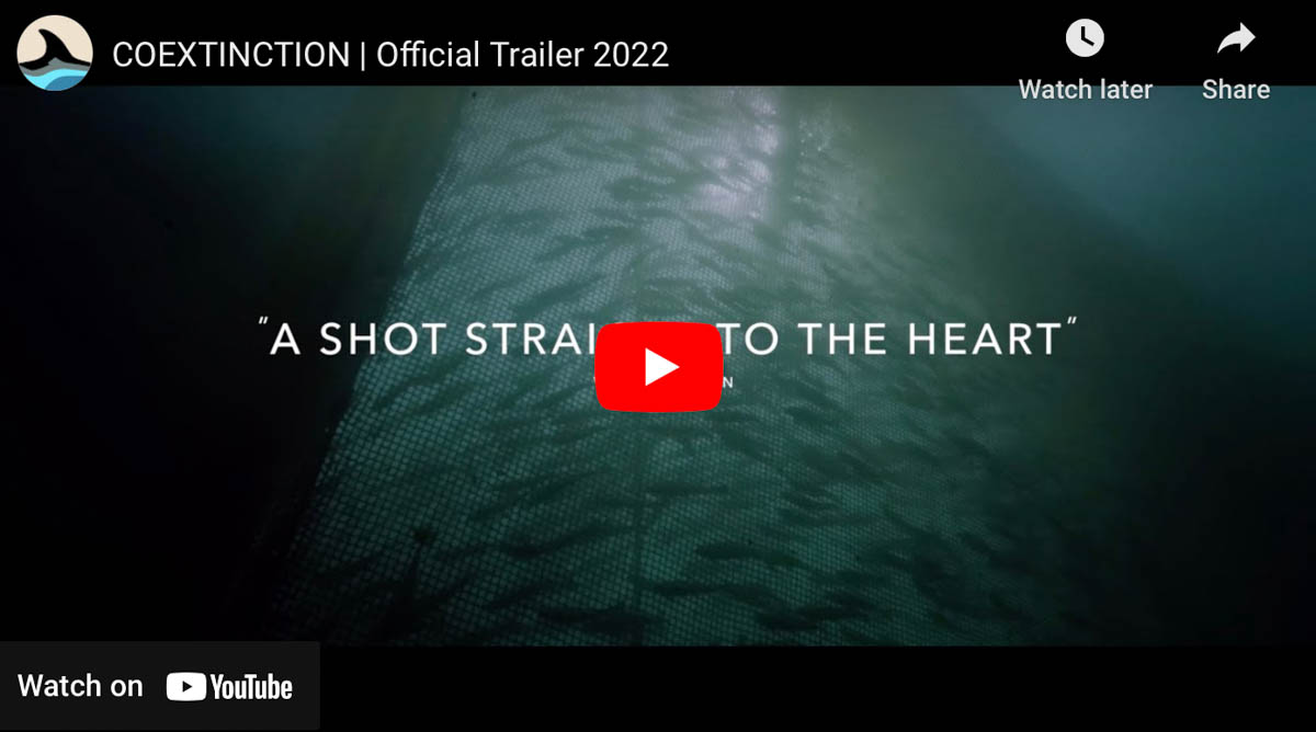 CoExtinction - No Species Goes Extinct in Isolation - The Scuba News