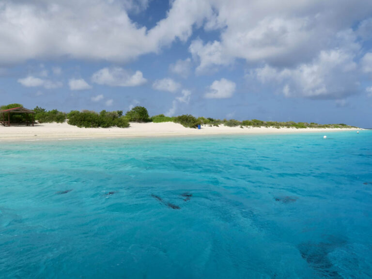 Bonaire Set to Host Exclusive CCR Summit for Rebreather Divers - The ...