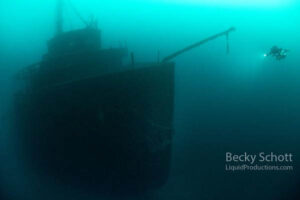 Learn More About the Daniel J. Morrell Shipwreck - The Scuba News