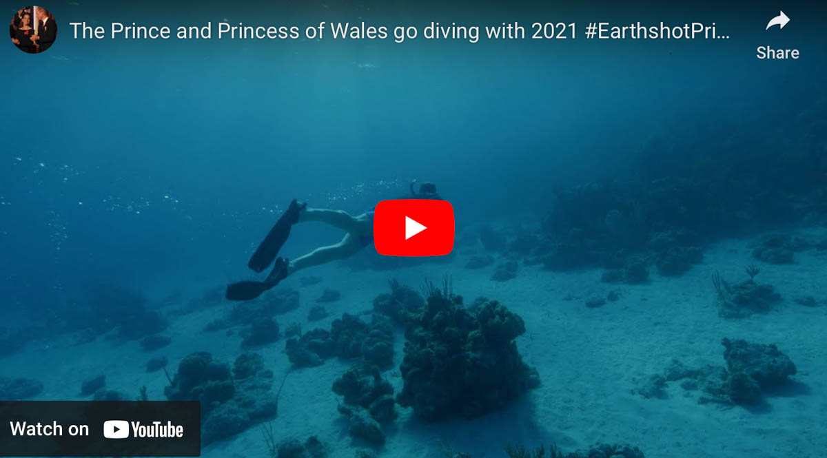 Prince and Princess of Wales Dive With Earthshot Prize Winner in The ...
