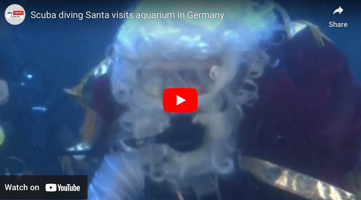 Scuba Diving Santa Visits Aquarium in Germany - The Scuba News