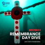 Ocean Quest Adventures Presents: Remembrance Day Dive - The Scuba News ...