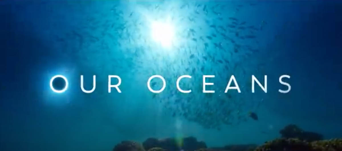 Behind The Scenes of Our Oceans "Fishnado" - The Scuba News