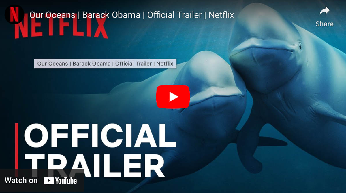 "Our Oceans" Now Available on Netflix - Watch The Trailer - The Scuba News