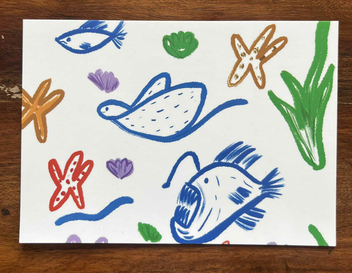 From Art Student to Ocean Advocate: How Orcas Inspired a Creative ...