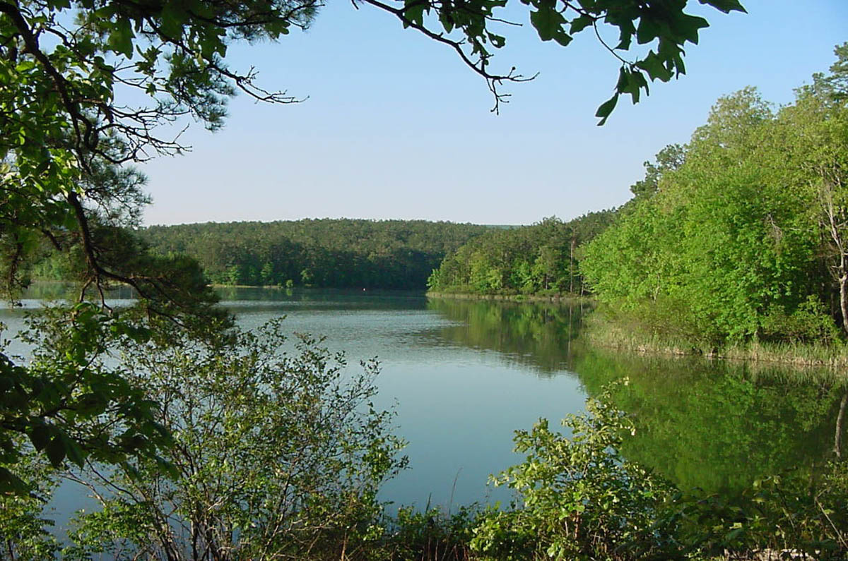 Scuba Diver, 70, Dies at Jack Creek Recreation Area in Arkansas - The ...