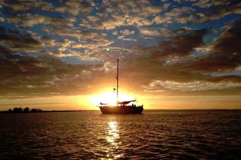 Solo Divers’ Paradise: Lock in the Singles Day Liveaboard Deals Now ...