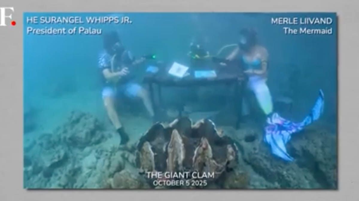 World’s First Underwater Presidential Interview: Palau’s Leader Sends a ...