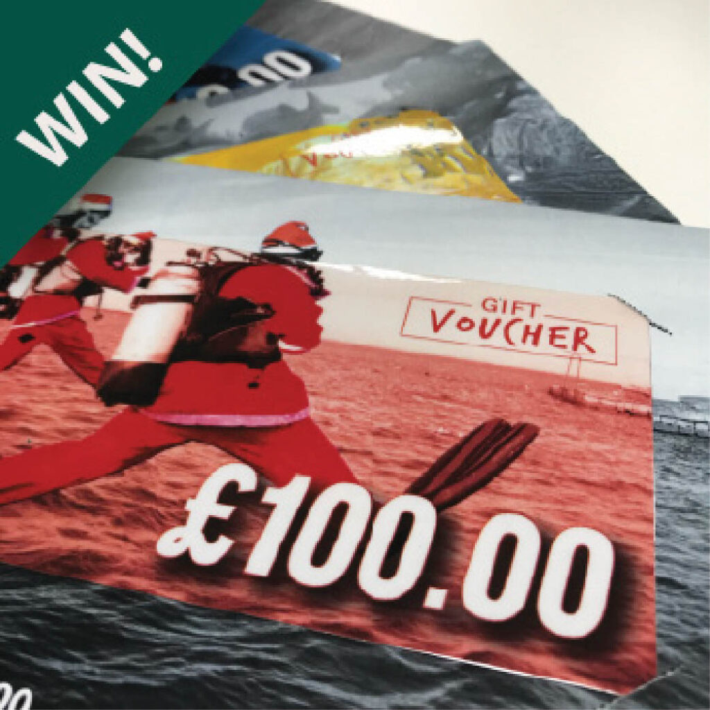 Northern Diver Announces Festive Christmas Sale – Huge Savings, Free ...