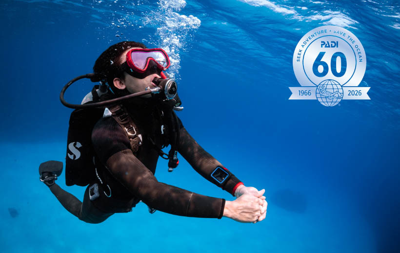 PADI Launches PRO+ Rewards Program for Dive Professionals Worldwide ...