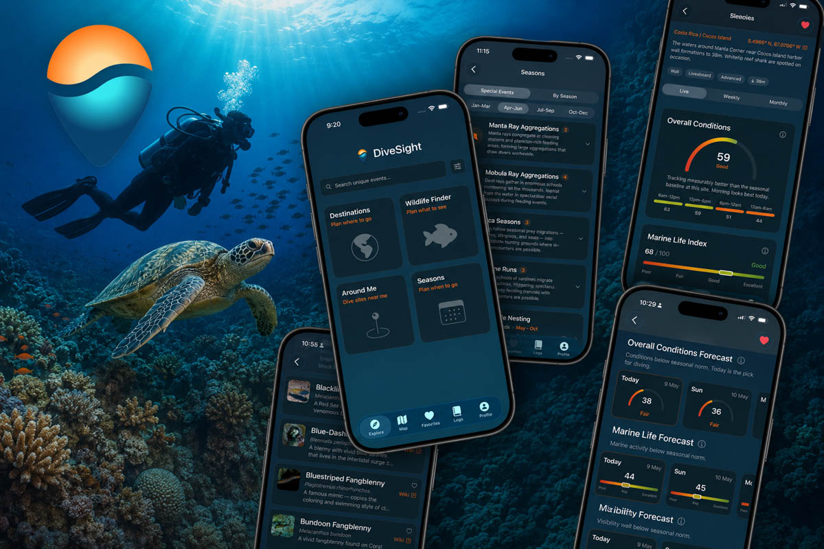 New App Claims to Predict Marine Life Encounters and Underwater ...