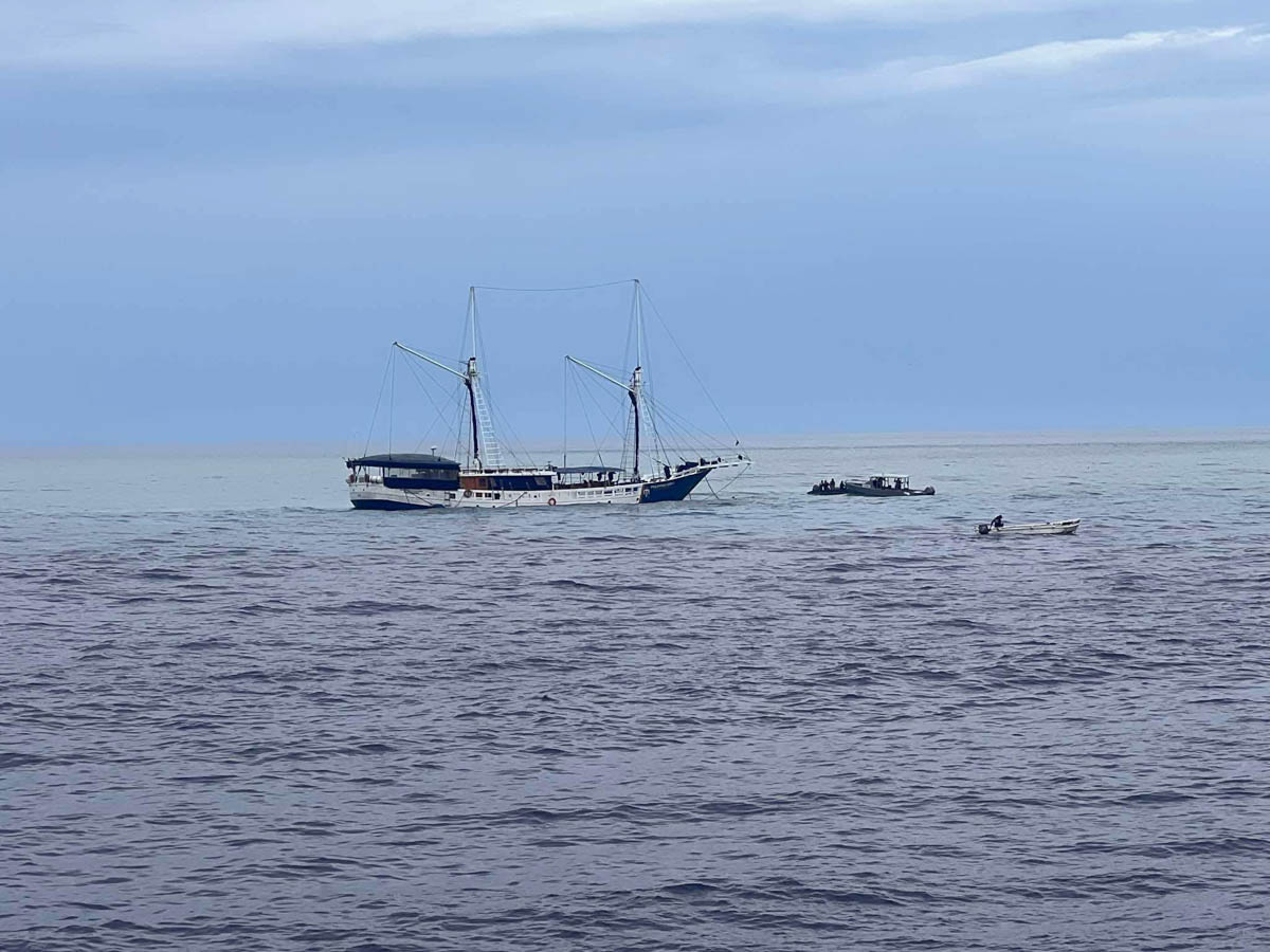 Philippine Siren 2 Liveaboard Runs Aground in Tubbataha Reefs, All ...
