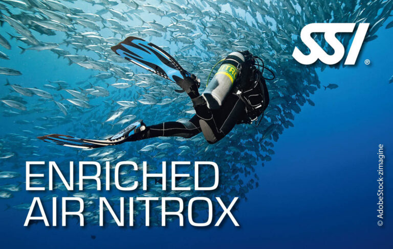 SSI Reimagines Its Most Popular Specialty with the Launch of a New ...